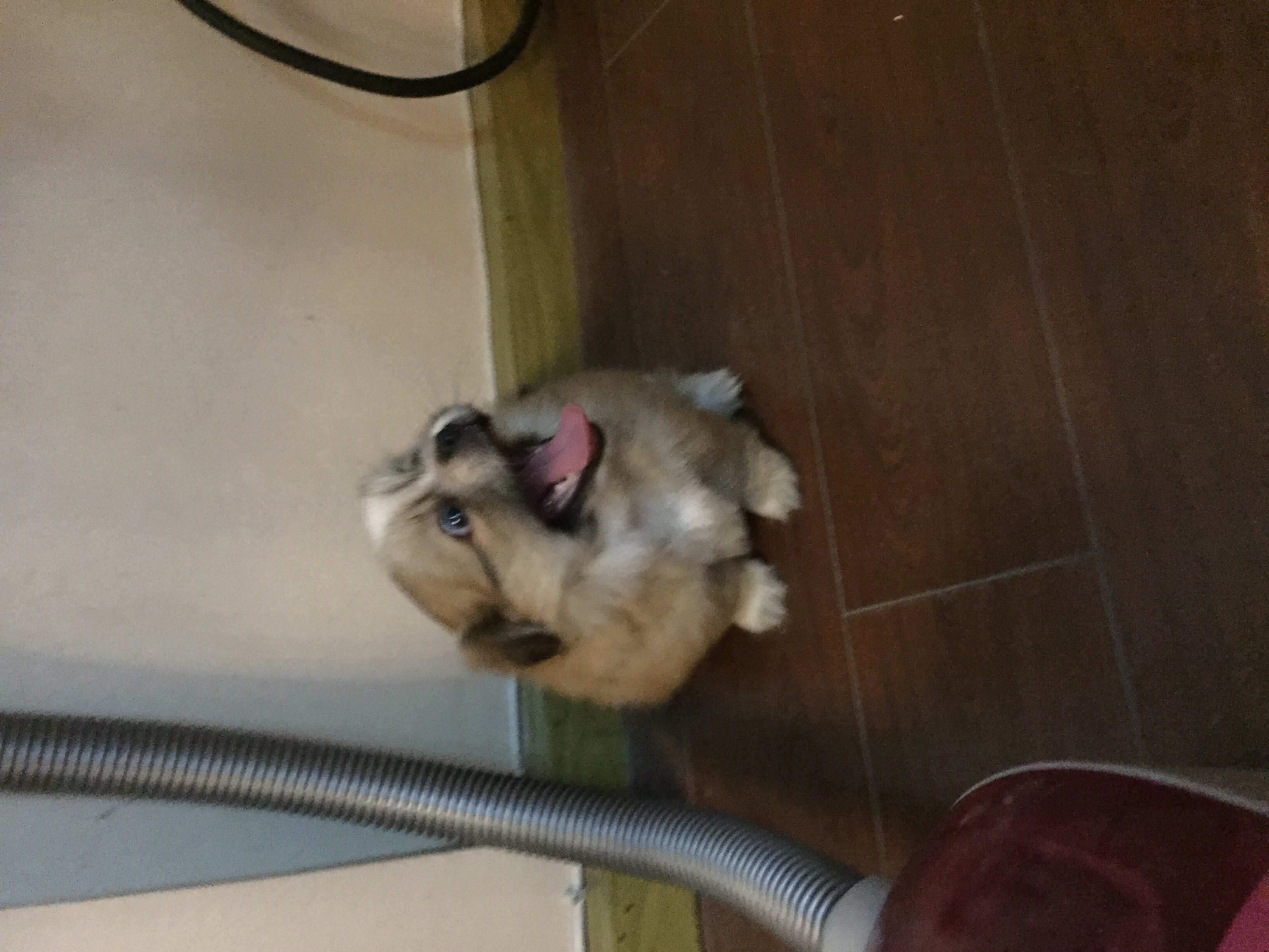 testProduct - Bountech